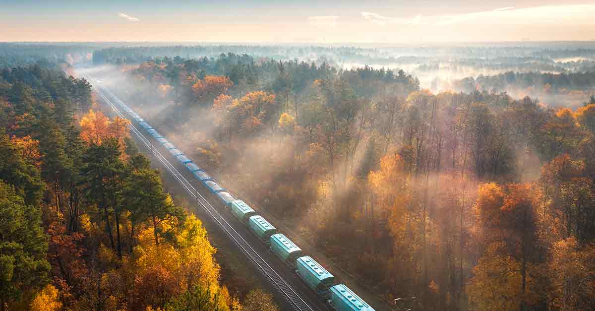 Facturation électronique obligatoire pour les entreprises | Grant Thornton